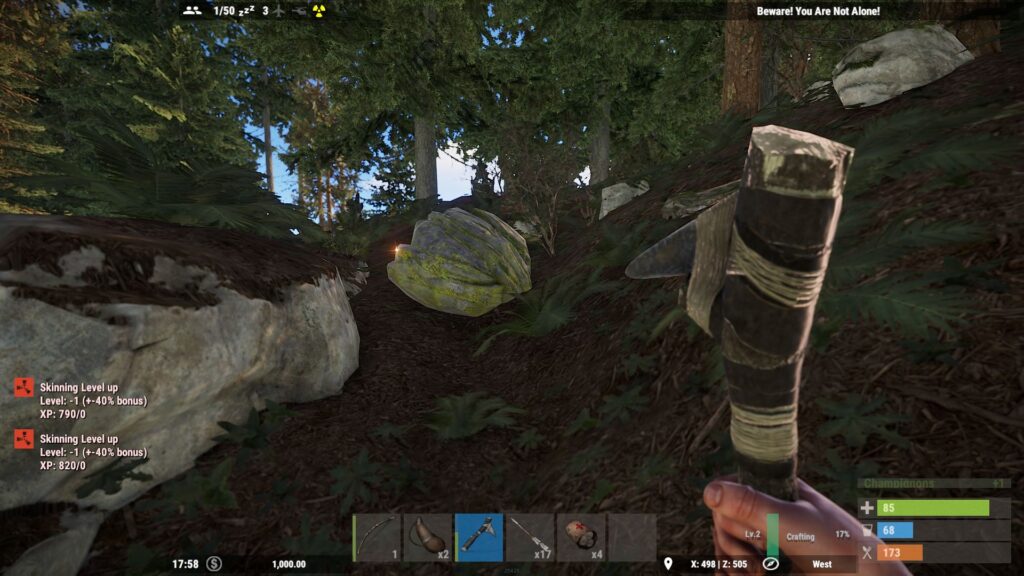 Rust - De la survie pure et dure - Game-Guide
