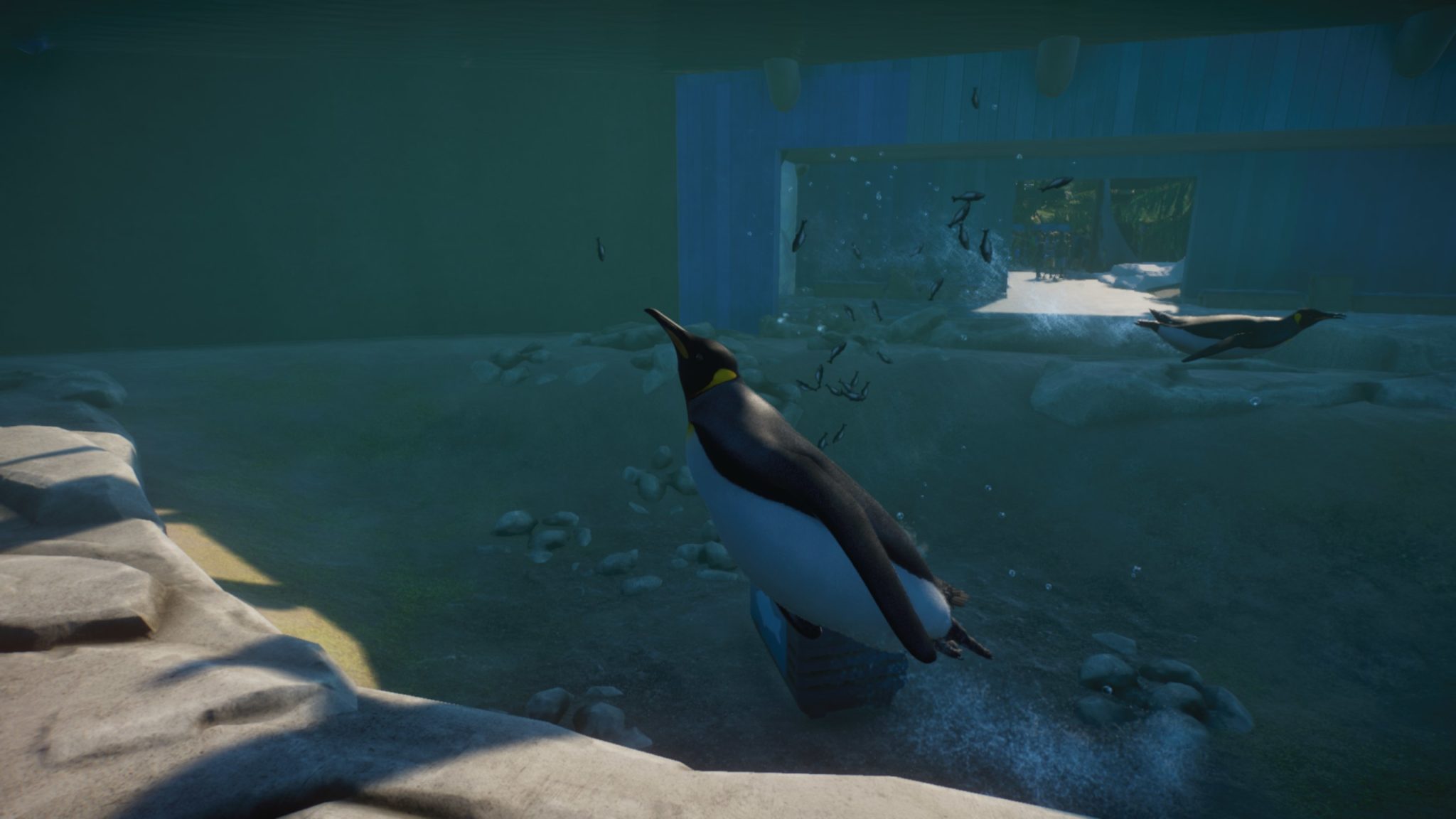 Planet Zoo - Pack Aquatique - Game-Guide